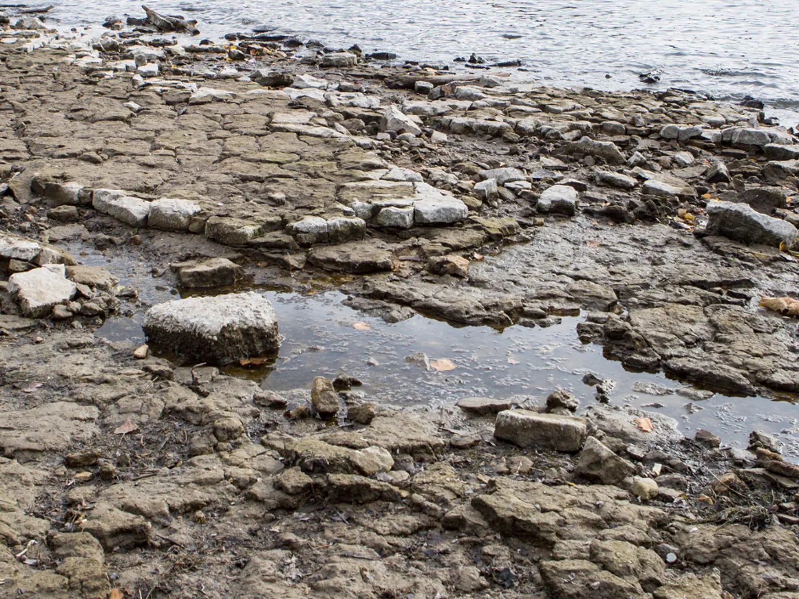 Public Safety | Township of Edwardsburgh Cardinal